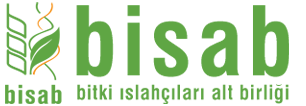 Yönetim – Bisab
